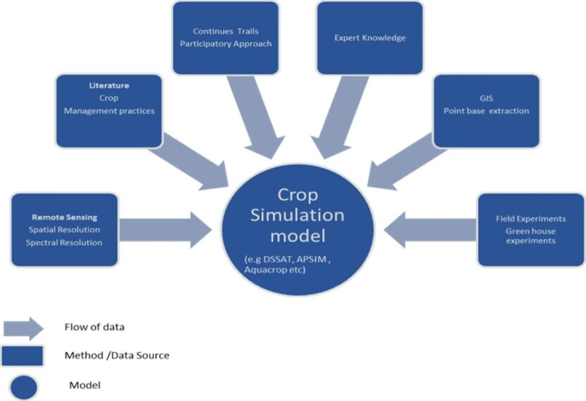 Crop Simulation Models With Remote Sensing Technology
