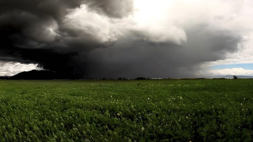 How Weather Affects Farming: An Easy-to-Understand Guide