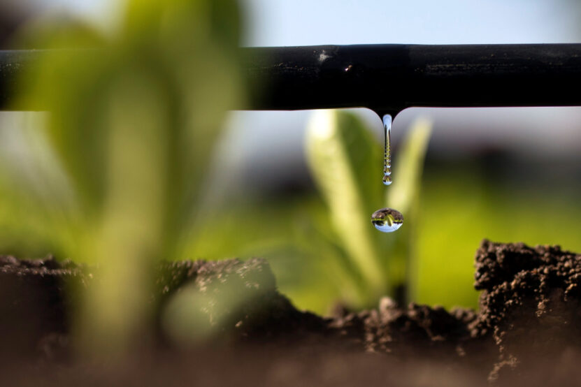 How Machine Learn Enhances Irrigation and Water Management