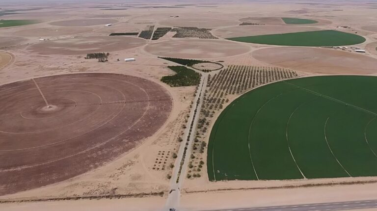 Climate Change and Vegetation: A Study on Regions in Iraq