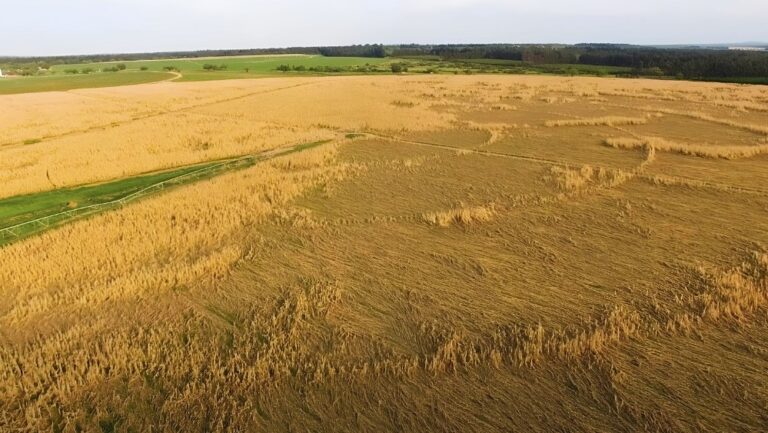 How Weather Affects Farming: An Easy-to-Understand Guide